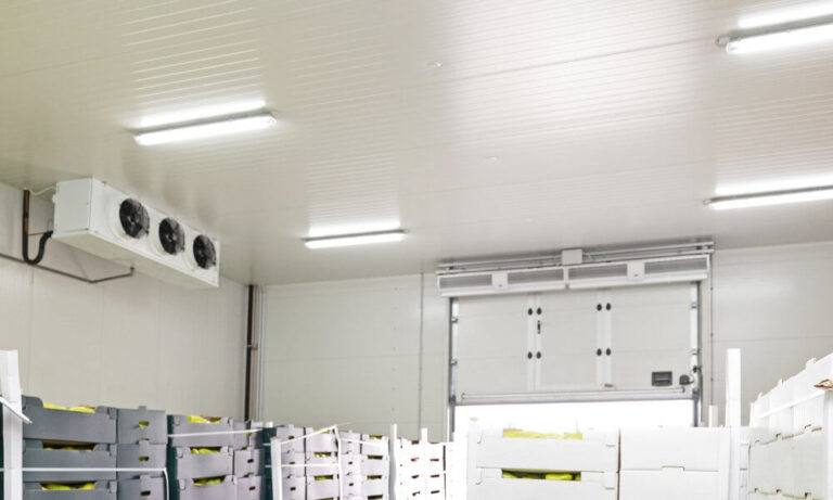8 Warning Signs Your Walk in Cooler Needs Repair