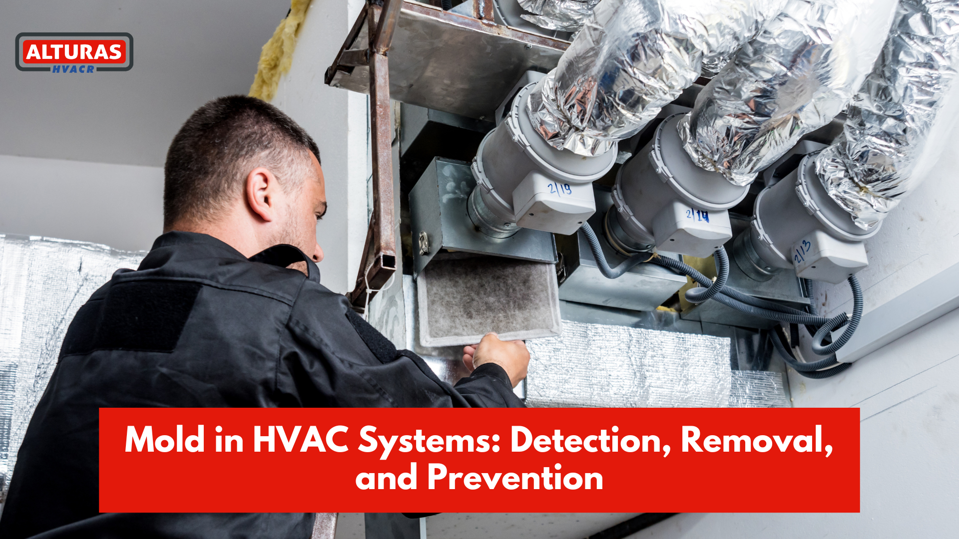Mold in HVAC Systems: Detection, Removal, and Prevention | Alturas ...